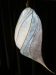 Seed Pod – Aurora Light Sculptures
