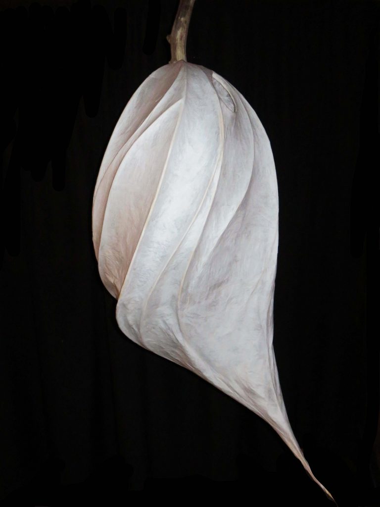 Seed Pod – Aurora Light Sculptures